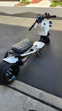 2009 Honda Ruckus for sale